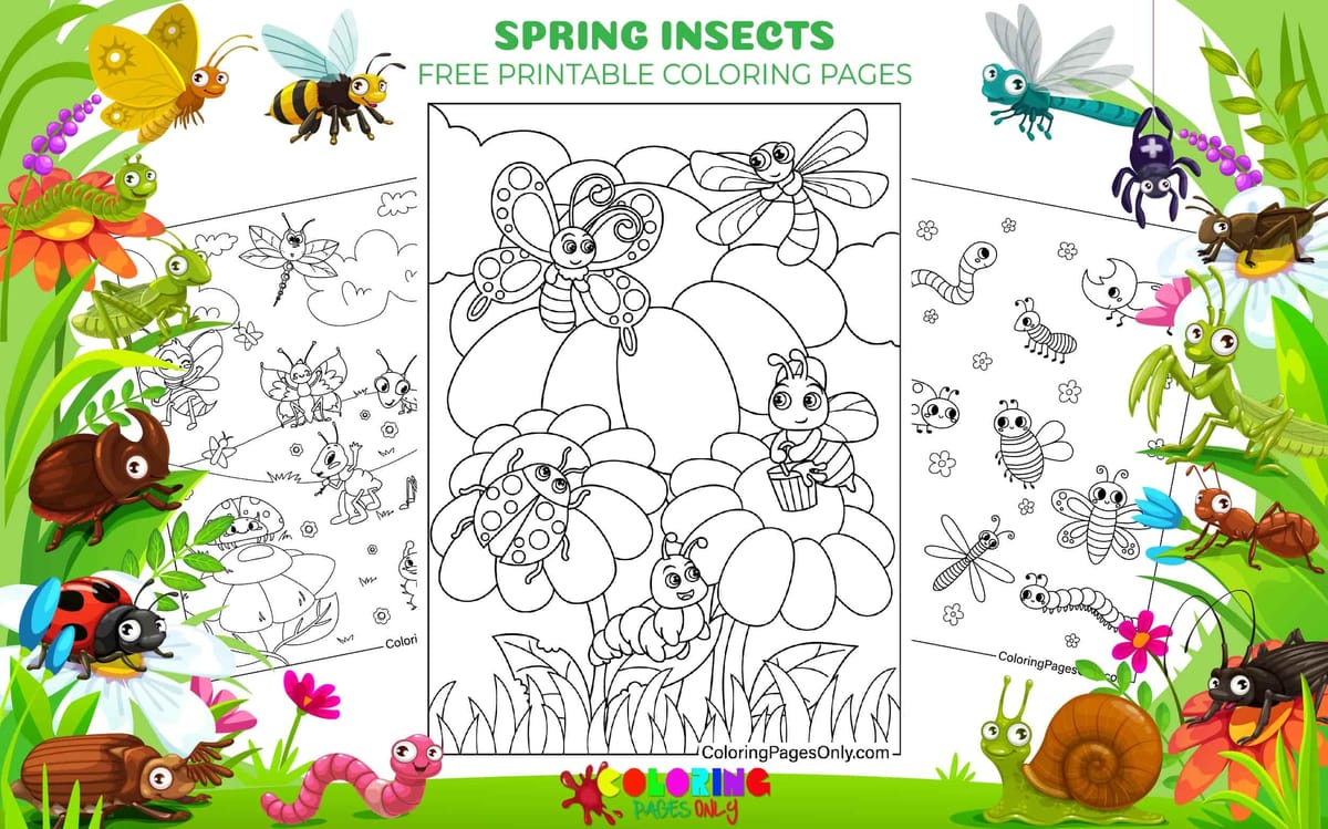 Más de 30 páginas para colorear de insectos primaverales: PDF, JPG, PNG ...