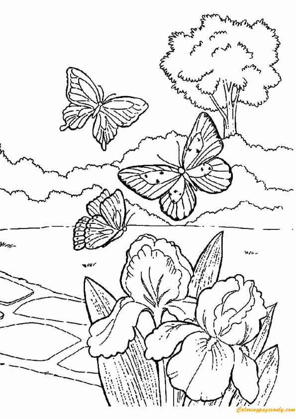 Spring Butterflies Coloring Pages