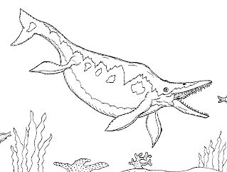 Ichthyosaurus Coloring Pages Sketch Coloring Page