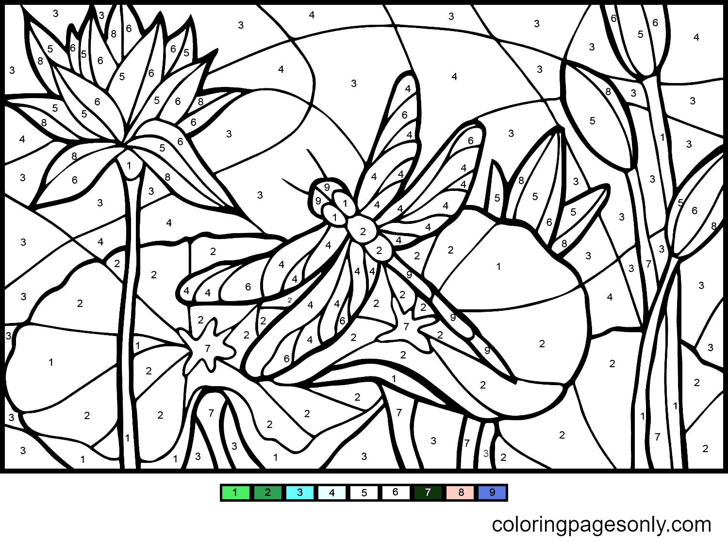 Printable Color By Number Coloring Pages Get Coloring Pages Roses And Printable Color By Number Coloring Pages Get Coloring Pages Roses And