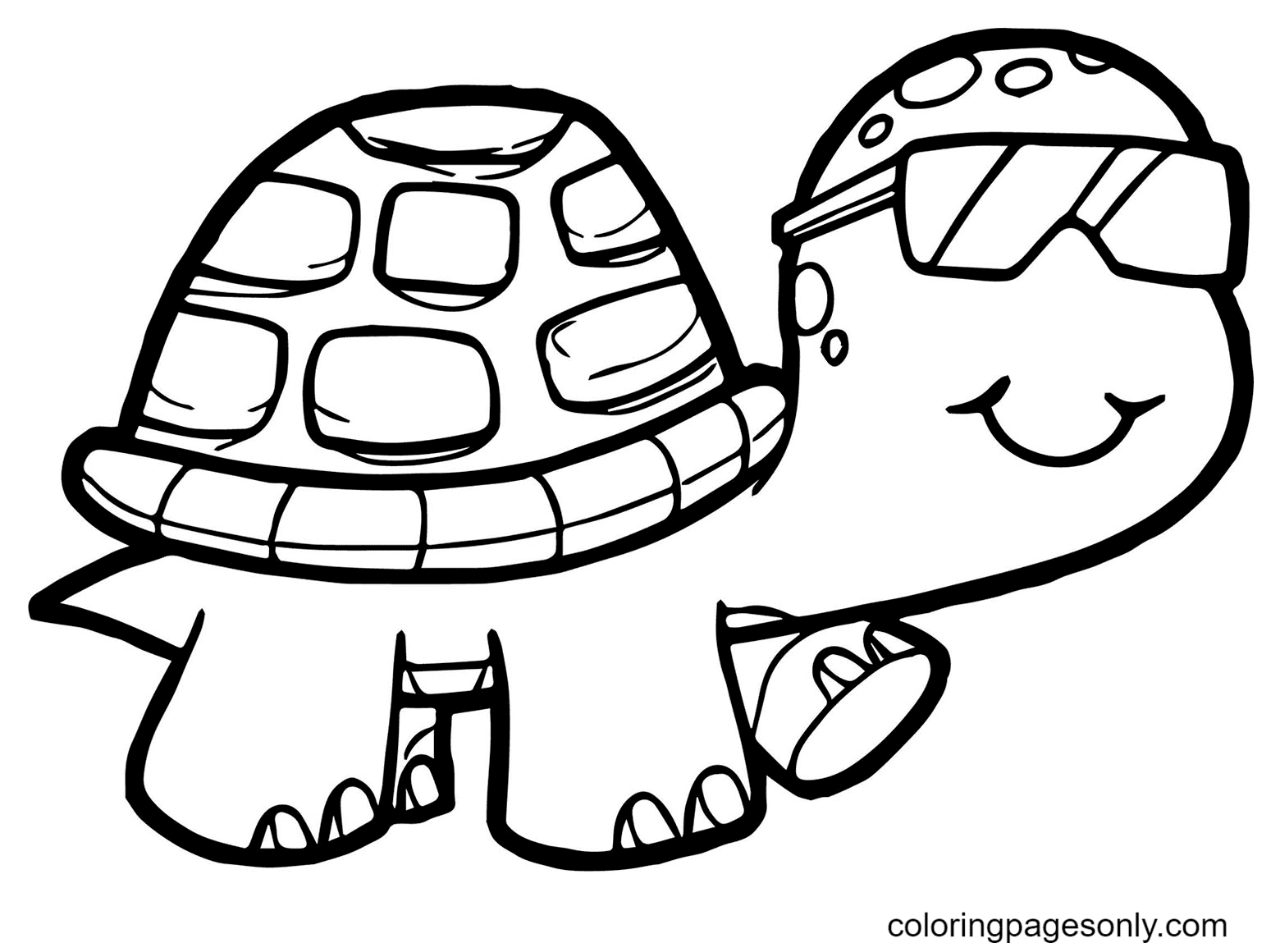 Turtle Shell Coloring Page