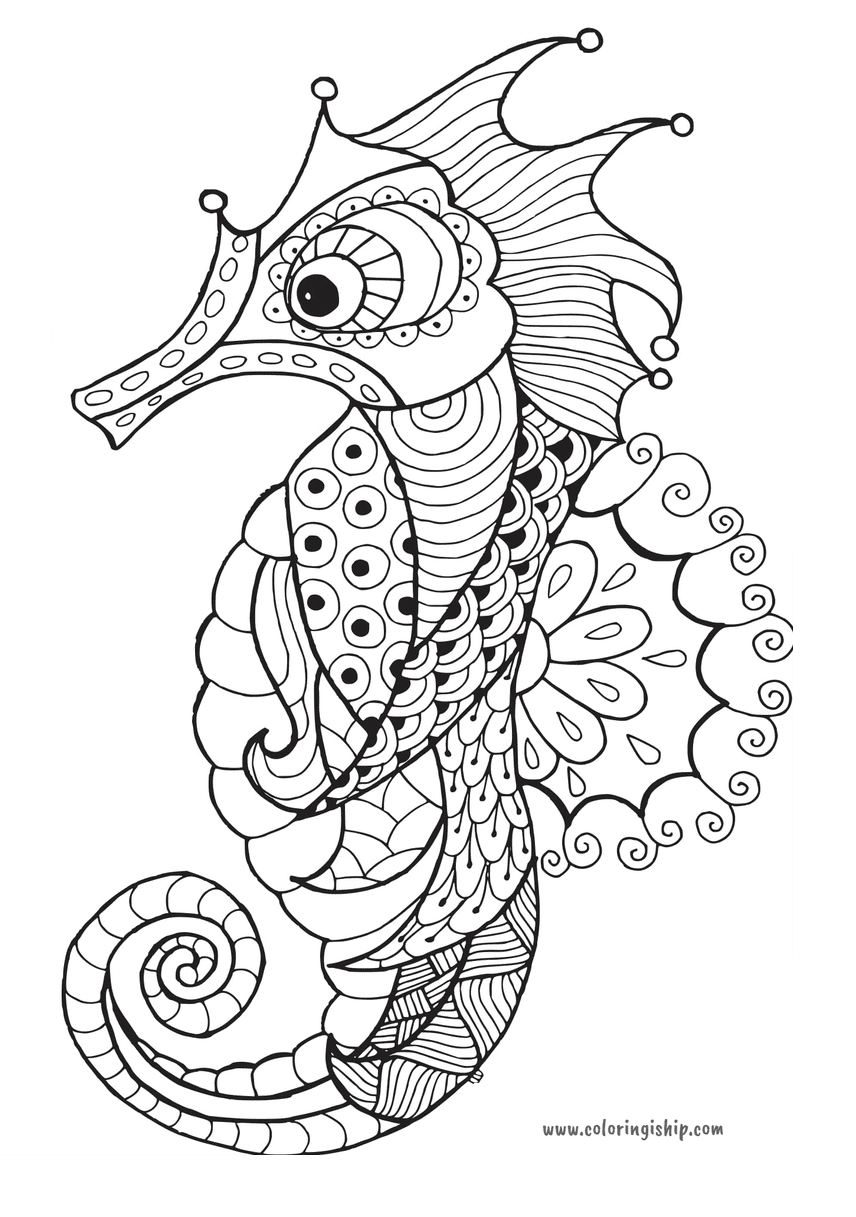 Seahorse For Children Coloring Pages Seahorse Coloring Pages Seahorse For Children Coloring Pages Seahorse Coloring Pages