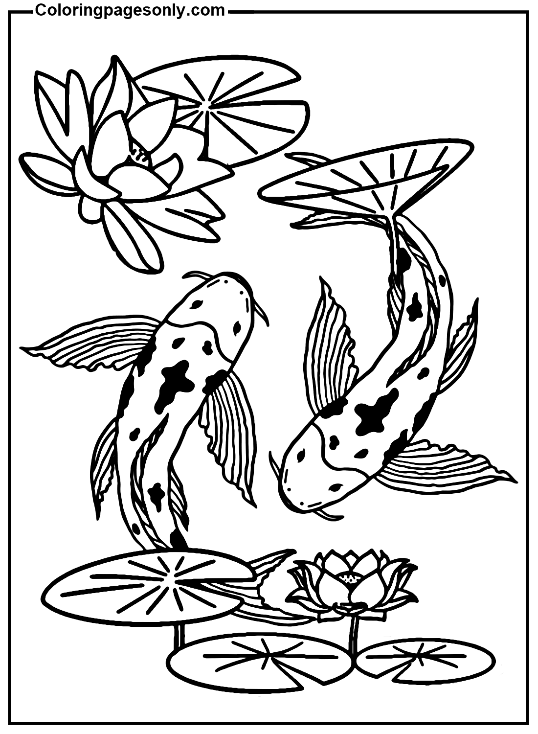 Coloring Fish Koi Pages Colouring Carp Drawing Outline Printable Adult Coloring Fish Koi Pages Colouring Carp Drawing Outline Printable Adult