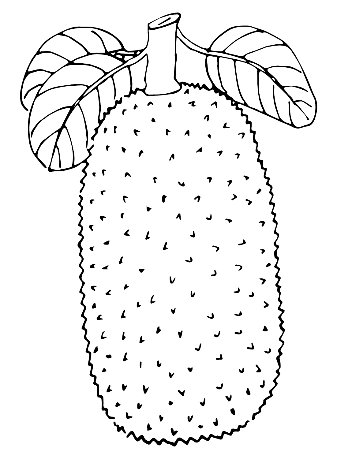 Jackfruit Sketch