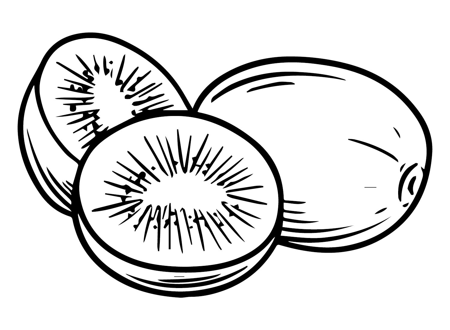 30 Kiwi Fruit Coloring Pages Free Printable PDF Online Coloring
