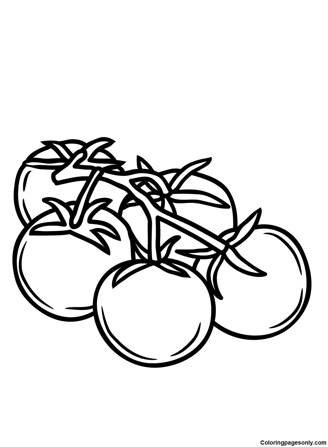 Tomato Slice Coloring Page