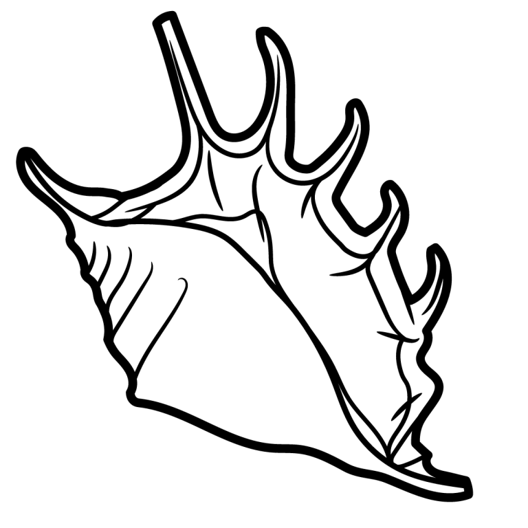 20+ Conch Coloring Pages - Free Printable PDF & Online Coloring