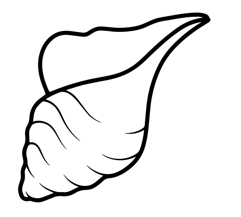 20+ Conch Coloring Pages - Free Printable PDF & Online Coloring