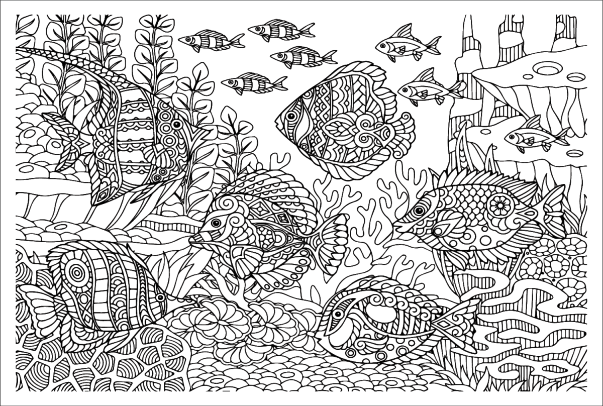 24 Free Printable Angelfish Coloring Pages