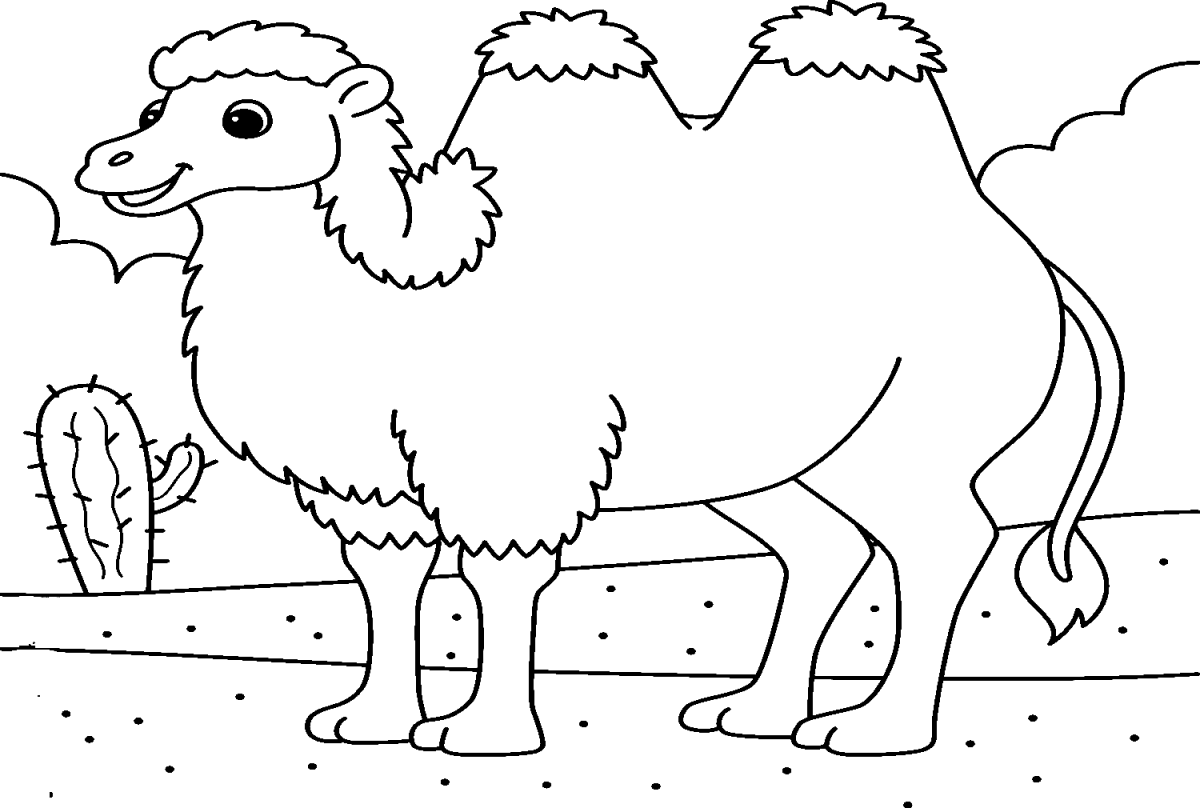 30+ Camel Coloring Pages - Free Printable PDF & Online Coloring