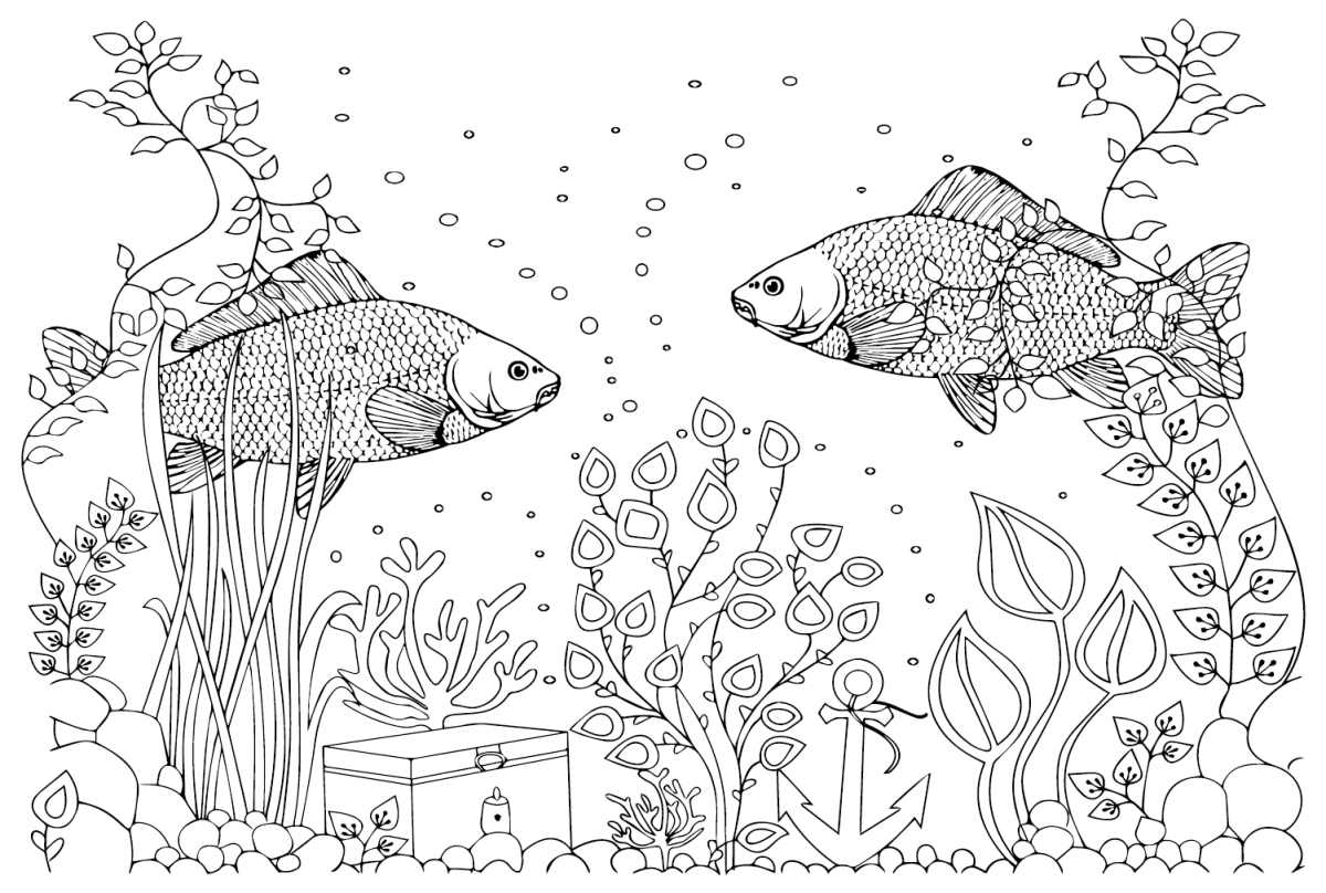 20+ Carp Coloring Pages - Free Printable PDF & Online Coloring