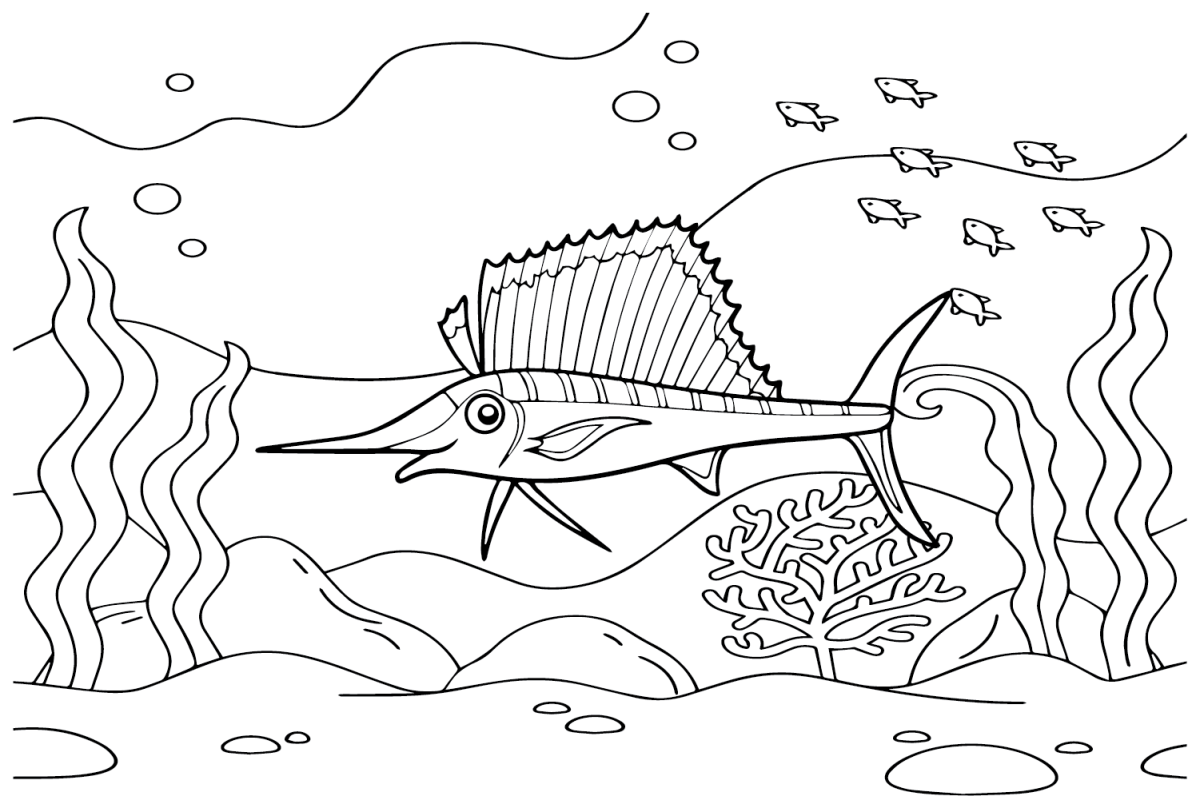20+ Sailfish Coloring Pages - Free Printable PDF & Online Coloring