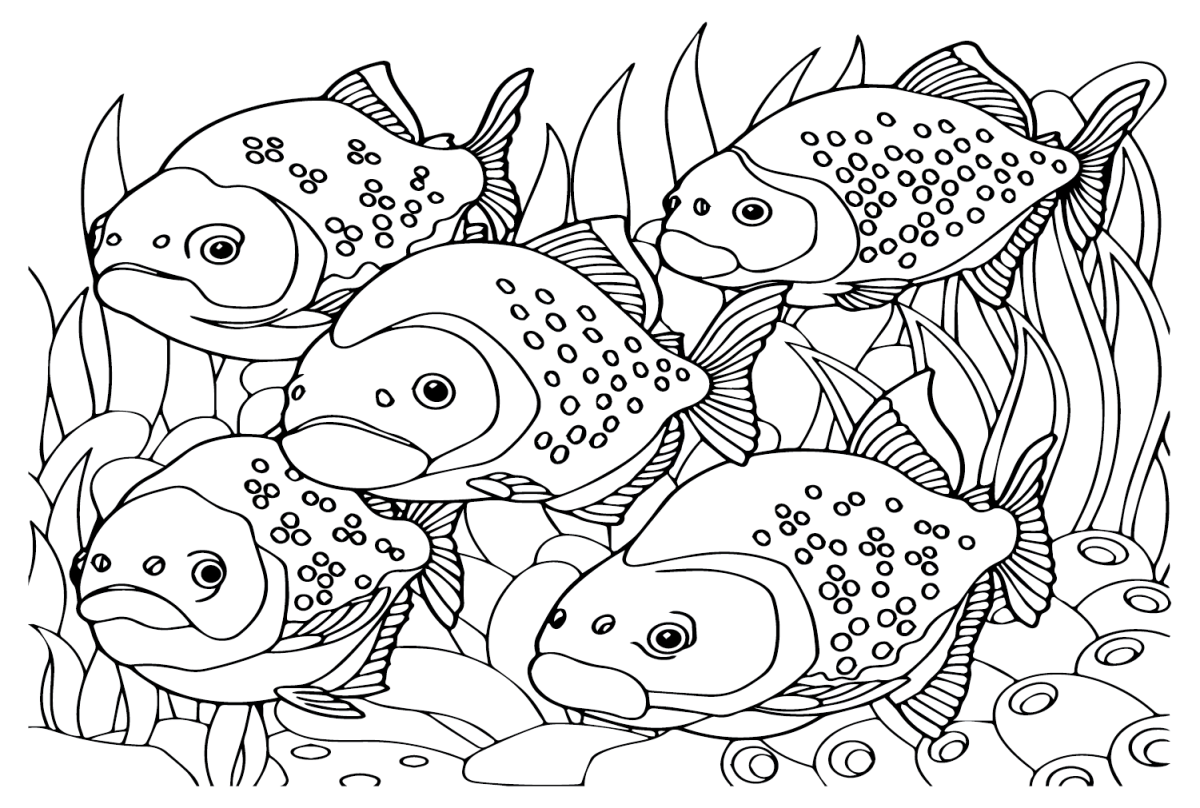 20+ Piranha Coloring Pages - Free Printable PDF & Online Coloring