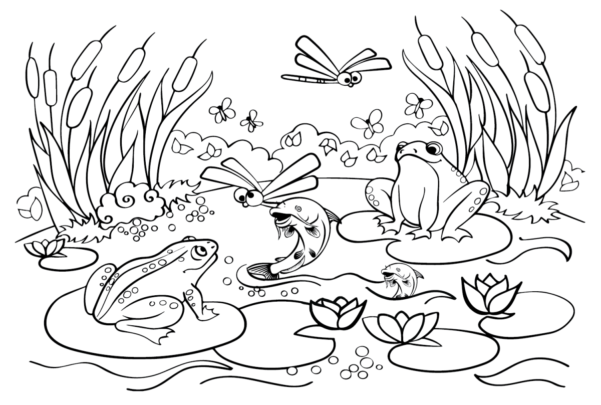 20+ Catfish Coloring Pages - Free Printable PDF & Online Coloring