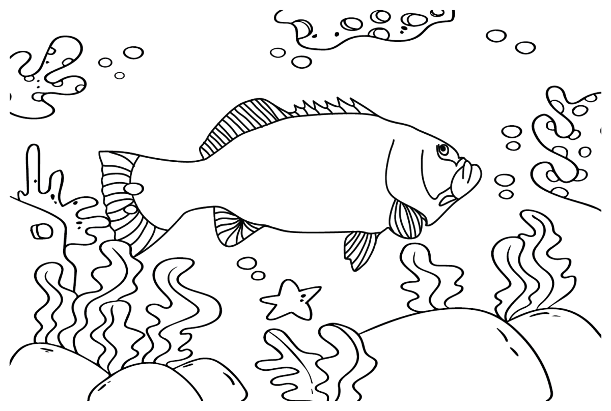 20+ Grouper Coloring Pages - Free Printable PDF & Online Coloring