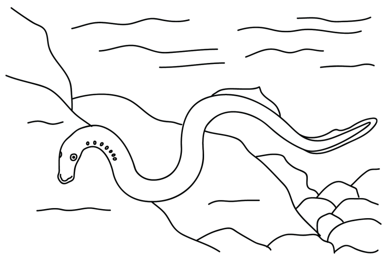 Lamprey Coloring Pages - Free Printable PDF & Online Coloring