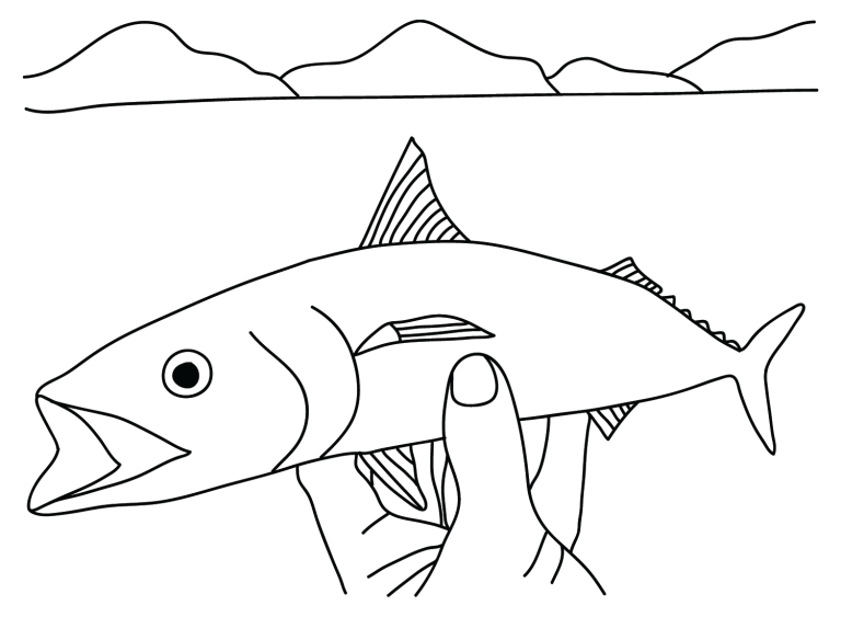 20+ Mackerel Coloring Pages - Free Printable PDF & Online Coloring