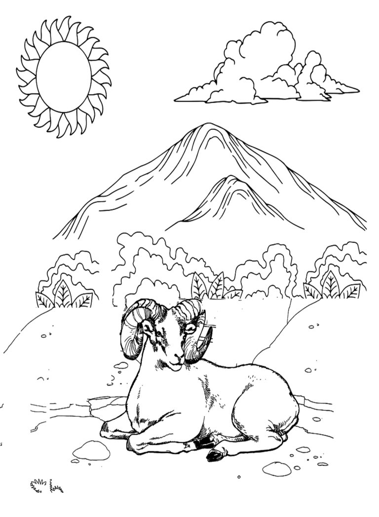 Mouflon Coloring Pages - Free Printable PDF & Online Coloring