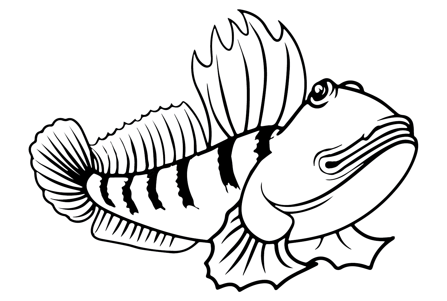 Mudskipper Fish Drawing