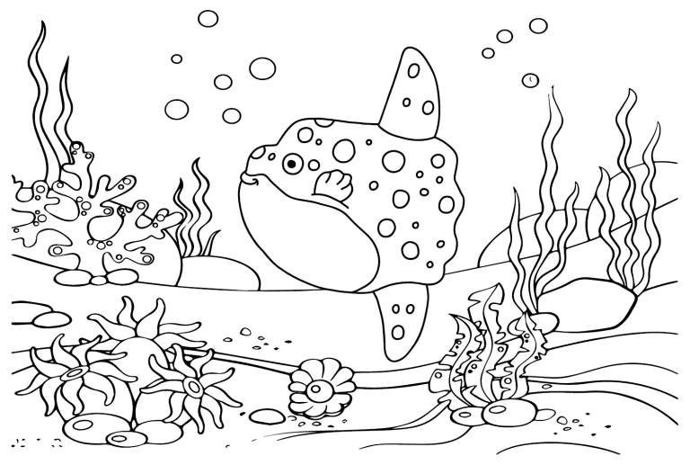 20+ Ocean Sunfish Coloring Pages - Free Printable PDF & Online Coloring