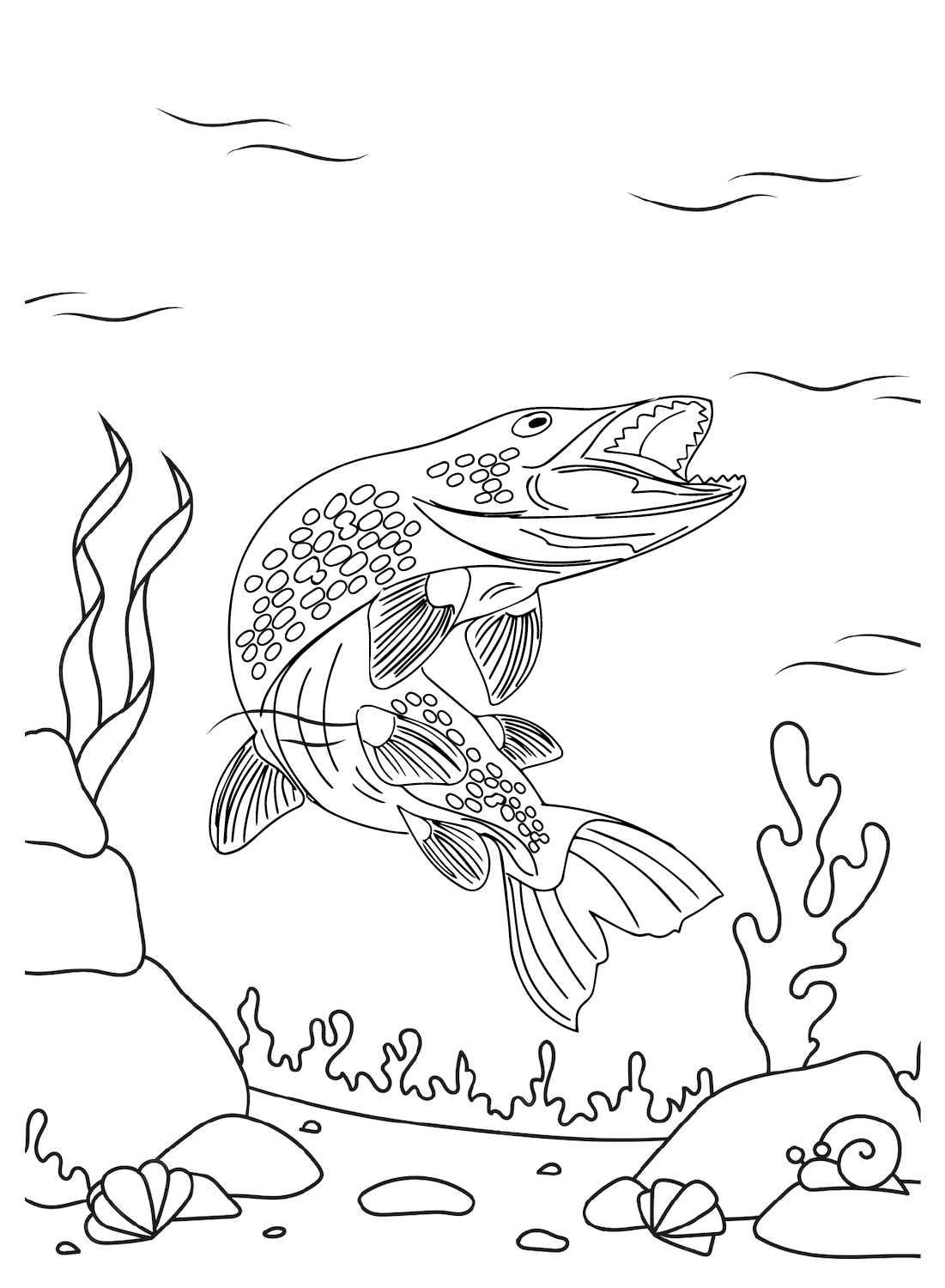 Northern Pike Coloring Page