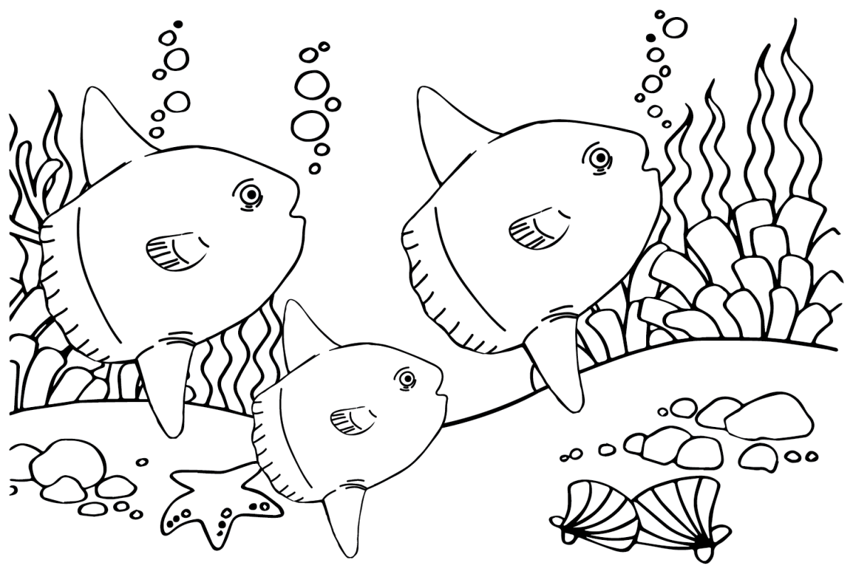 20+ Ocean Sunfish Coloring Pages - Free Printable PDF & Online Coloring