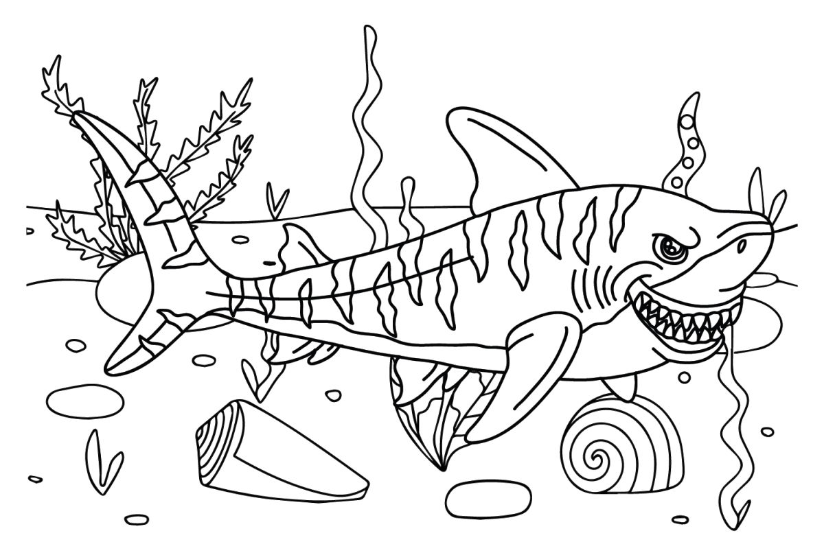 20+ Tiger Shark Coloring Pages - Free Printable PDF & Online Coloring