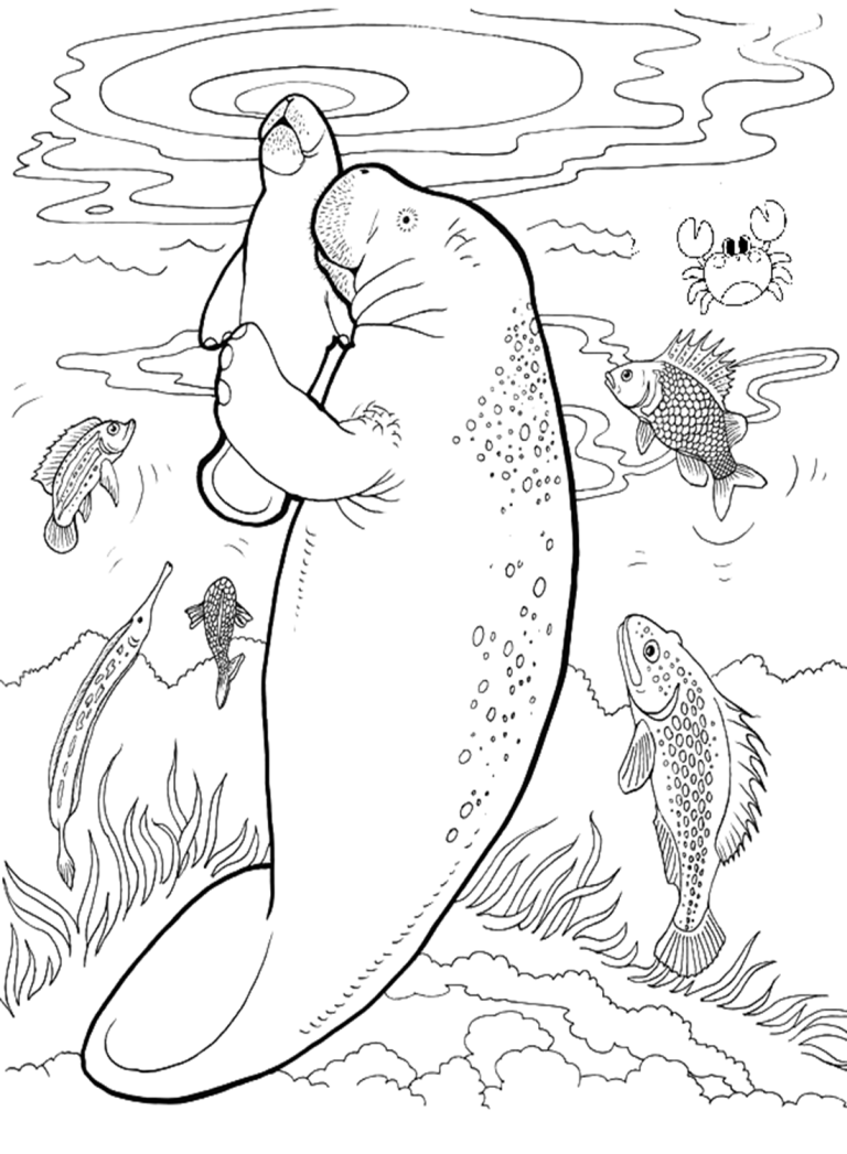 Manatee Coloring Pages - Free Printable PDF & Online Coloring