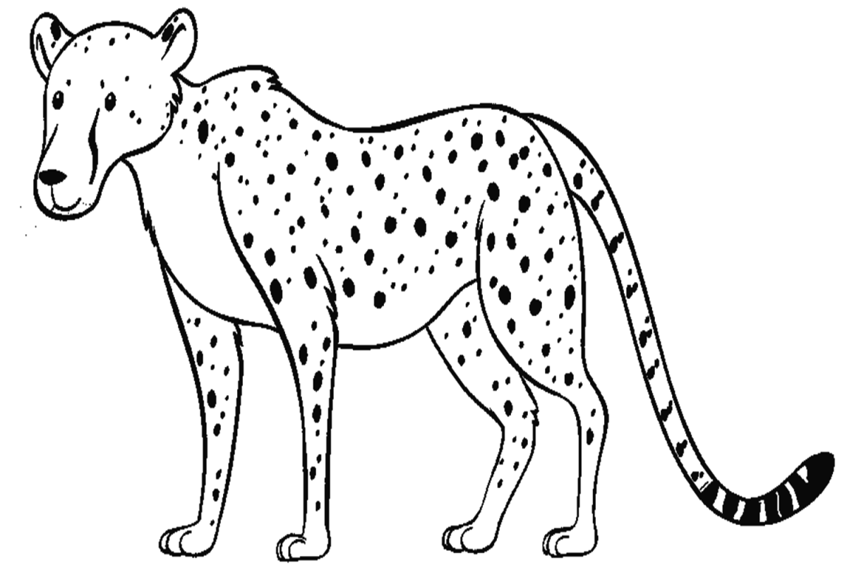 29 Leopard Coloring Pages - Free & Printable for Kids and Adults