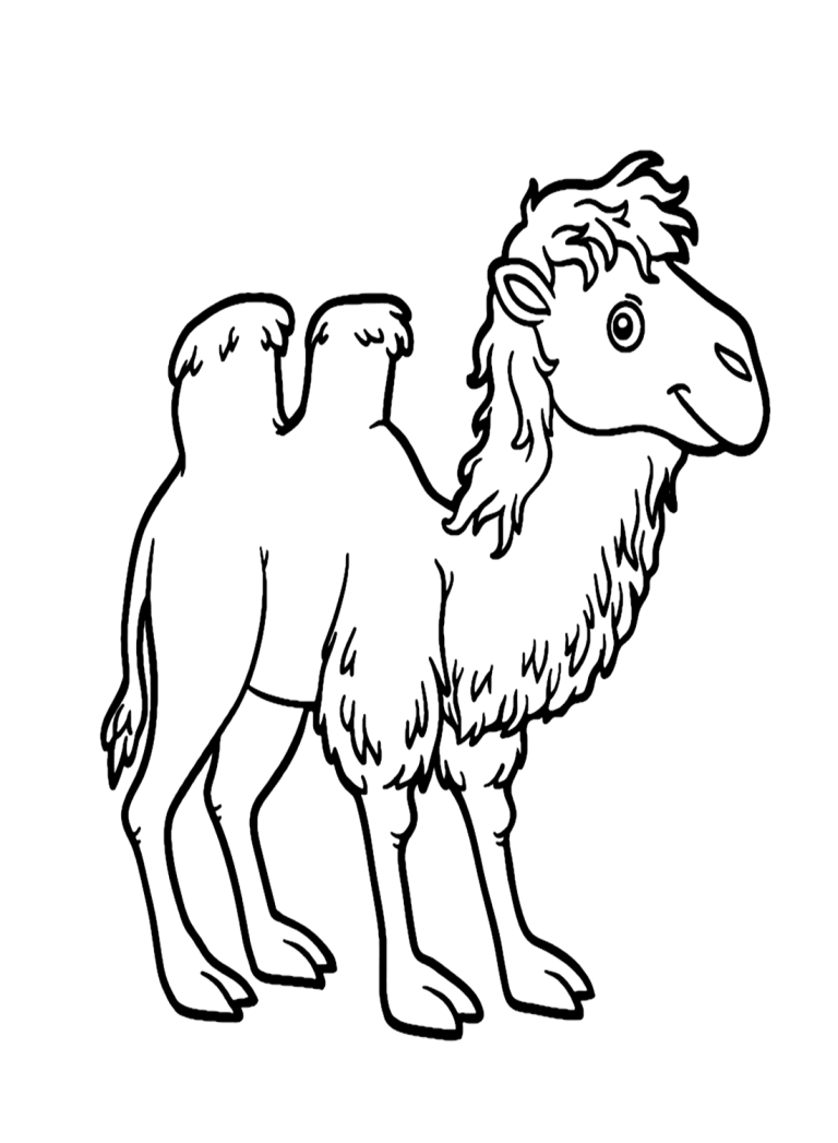 30+ Camel Coloring Pages - Free Printable PDF & Online Coloring