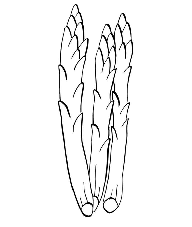 30+ Asparagus Coloring Pages - Free Printable PDF & Online Coloring