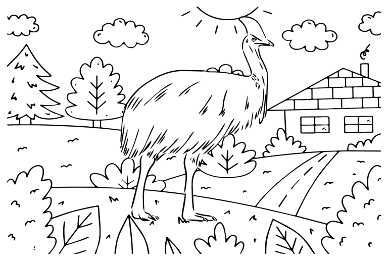 Über 20 Kasuaren-Malvorlagen – Kostenlose druckbare PDF- und Online ...
