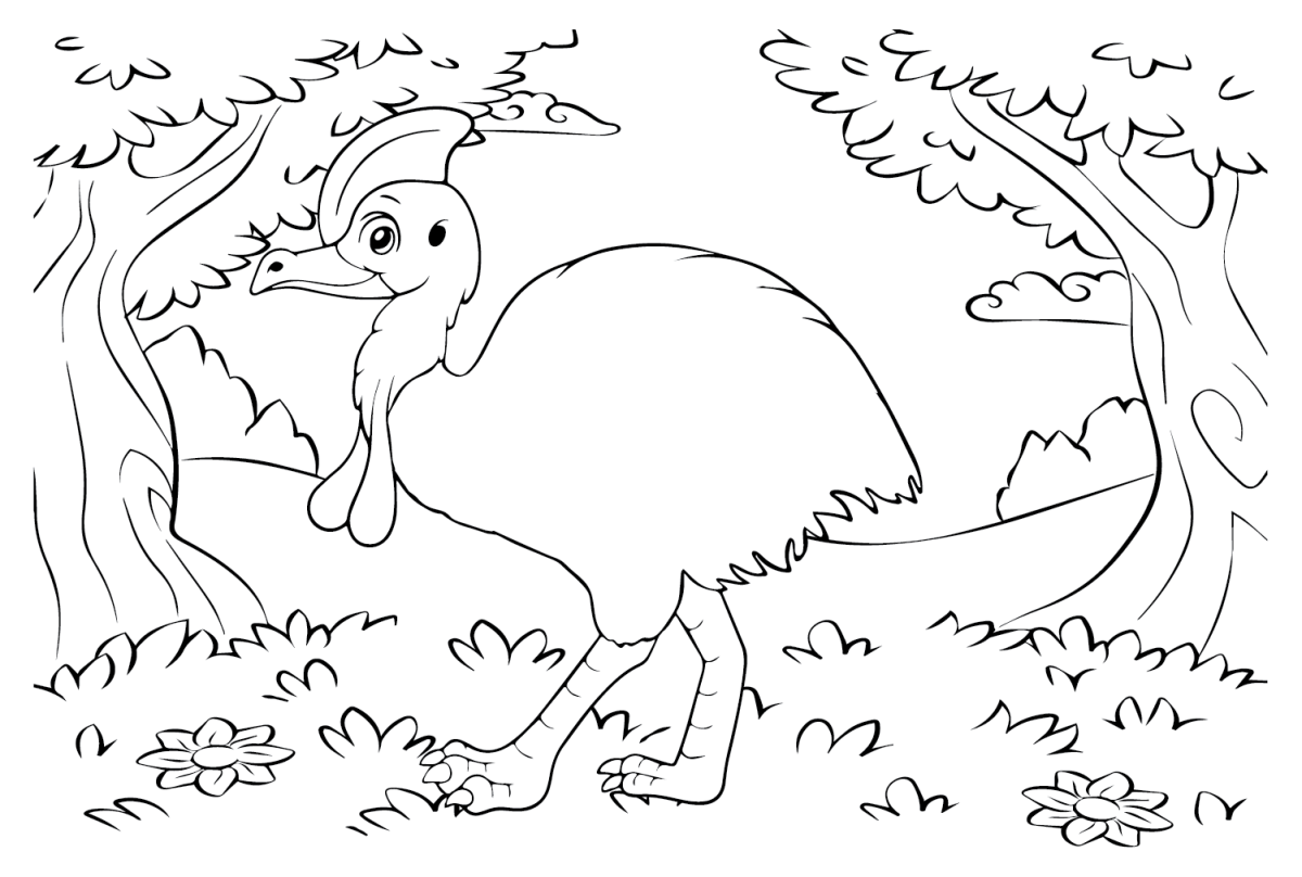 20+ Cassowary Coloring Pages - Free Printable PDF & Online Coloring