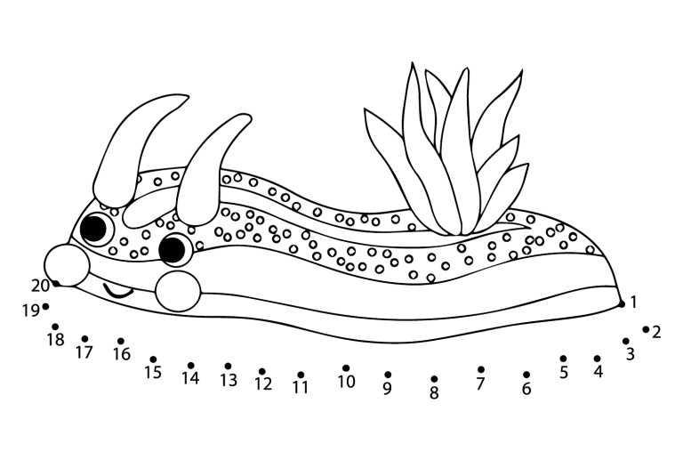 20+ Sea Slug Coloring Pages - Free Printable PDF & Online Coloring