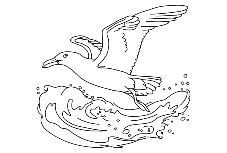 22 Free Printable Albatross Coloring Pages