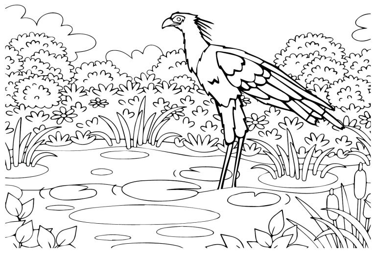 20+ Secretarybird Coloring Pages - Free Printable PDF & Online Coloring