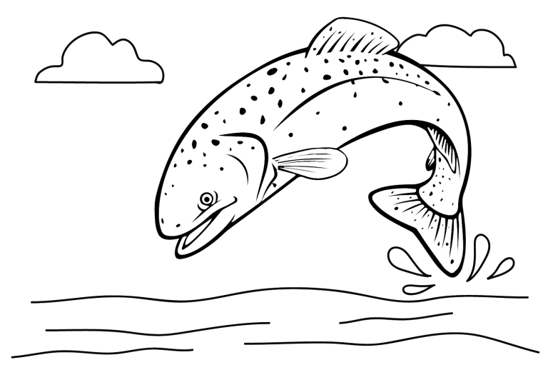 20+ Salmon Coloring Pages - Free Printable PDF & Online Coloring
