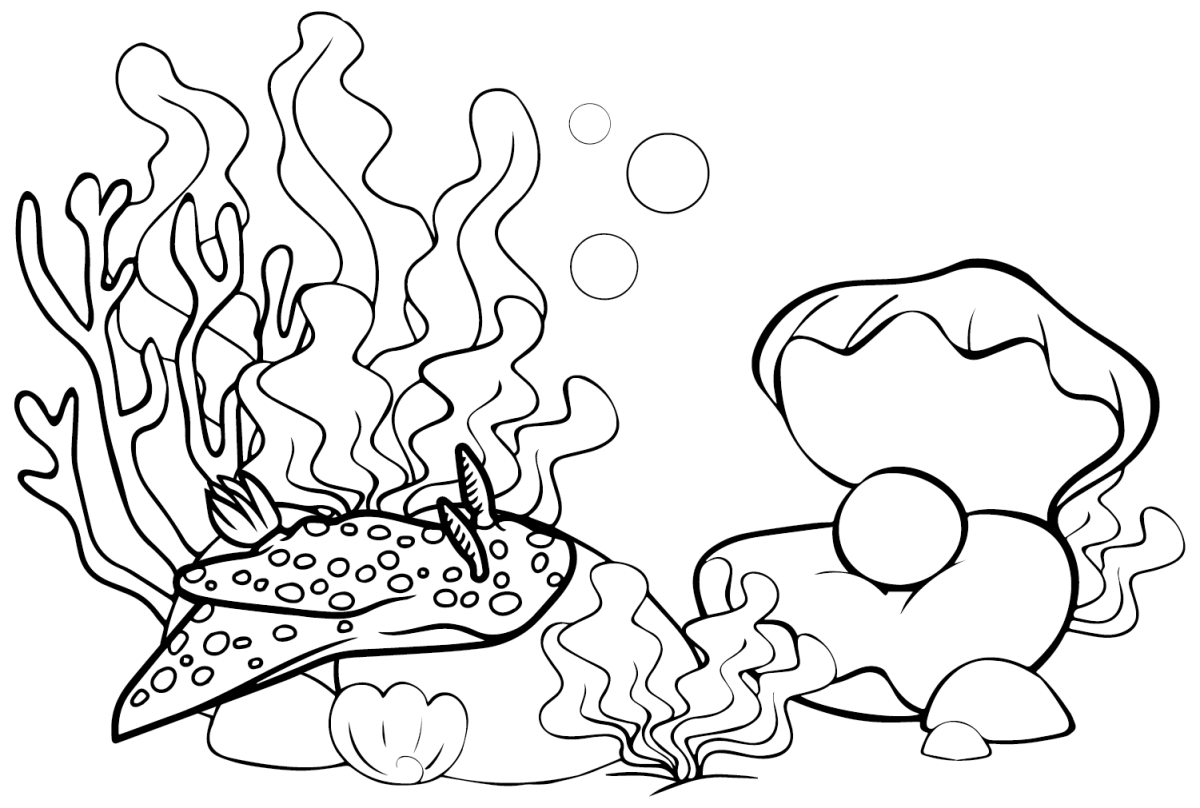 20+ Sea Slug Coloring Pages - Free Printable PDF & Online Coloring