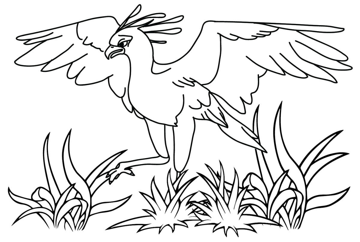 20+ Secretarybird Coloring Pages - Free Printable PDF & Online Coloring