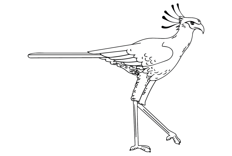 20+ Secretarybird Coloring Pages - Free Printable PDF & Online Coloring