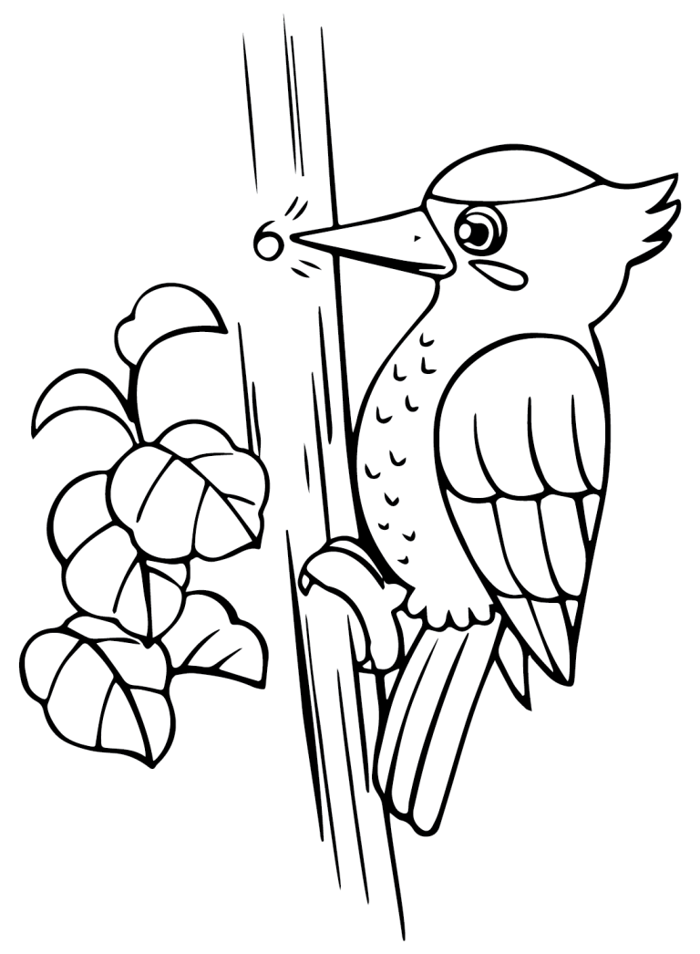20+ Woodpecker Coloring Pages - Free Printable PDF & Online Coloring