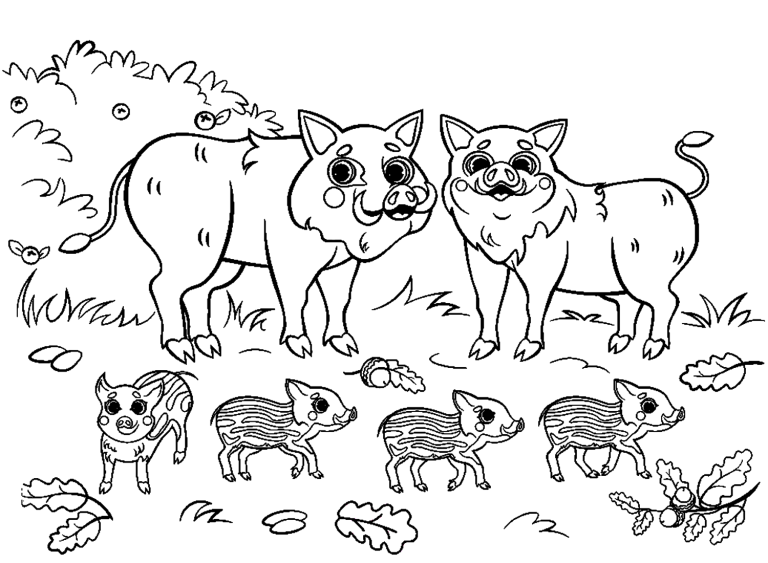 20+ Boar Coloring Pages - Free Printable PDF & Online Coloring