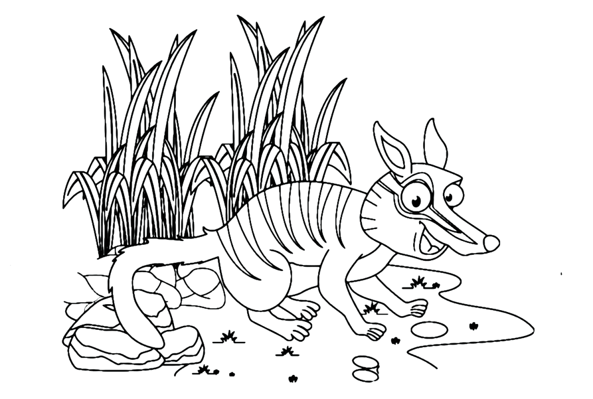 20 Numbat Coloring Pages Free Printable PDF Online Coloring 20-numbat-coloring-pages-free-printable-pdf-online-coloring