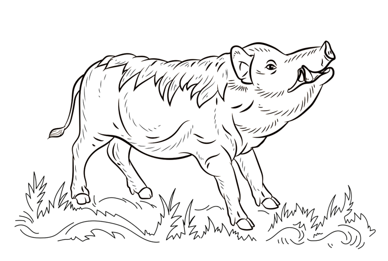 20+ Boar Coloring Pages - Free Printable PDF & Online Coloring