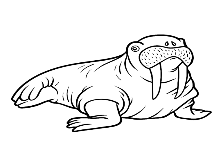 20+ Walrus Coloring Pages - Free Printable PDF & Online Coloring