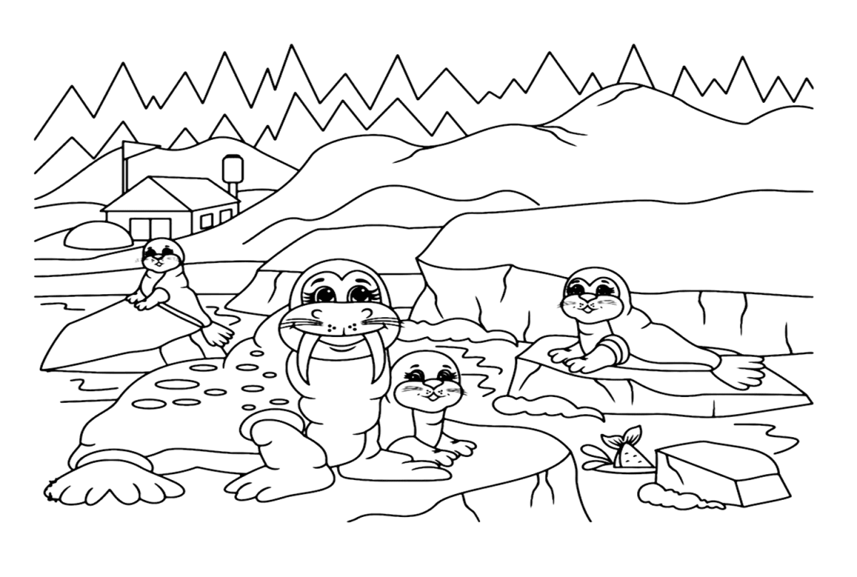 20+ Walrus Coloring Pages - Free Printable PDF & Online Coloring