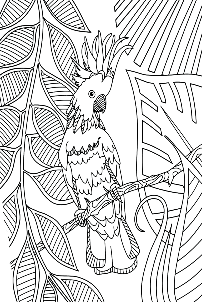 20+ Cockatiel Coloring Pages - Free Printable PDF & Online Coloring