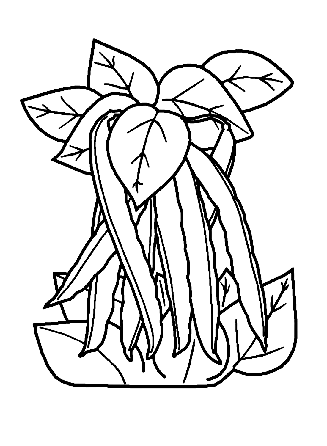 Green Bean Coloring Pages