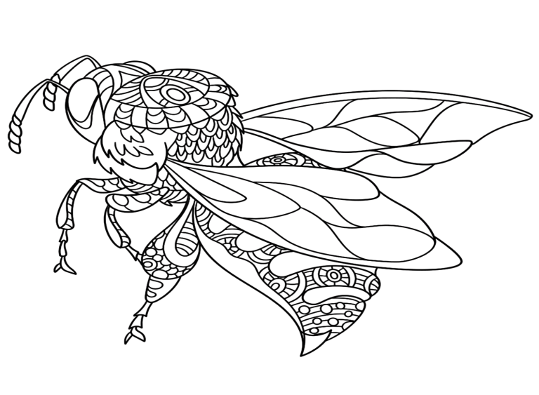 20+ Wasp Coloring Pages - Free Printable PDF & Online Coloring