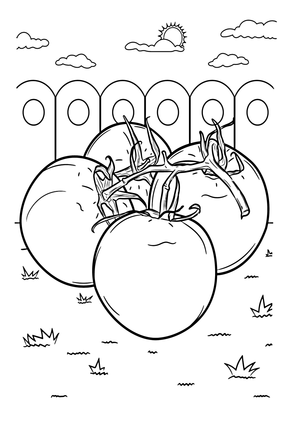 Tomato Slice Coloring Page